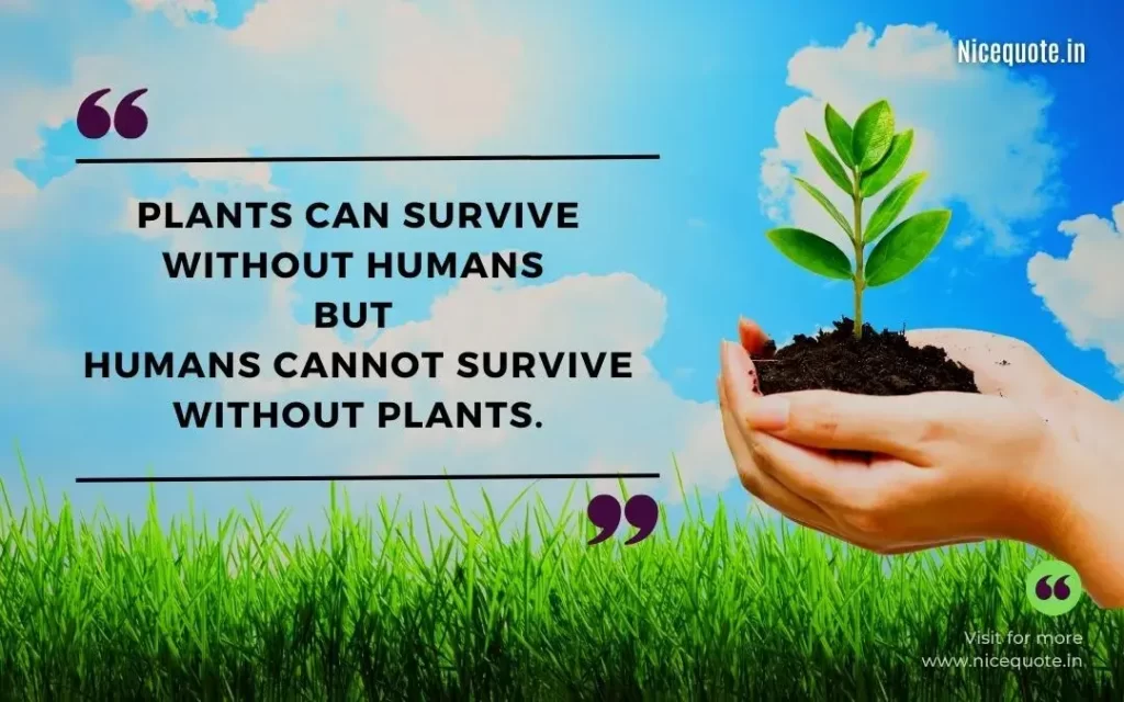 80 Best Slogans On Save Trees And Save Tree Quotes June 2024 80 Best Slogans On Save Trees And Save Tree Quotes June 2024